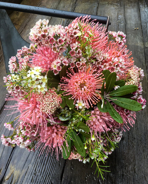 Cotton Candy – The Protea Store