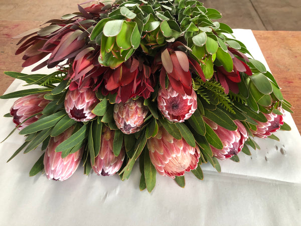 Gift Box - Pink Ice Delight – The Protea Store